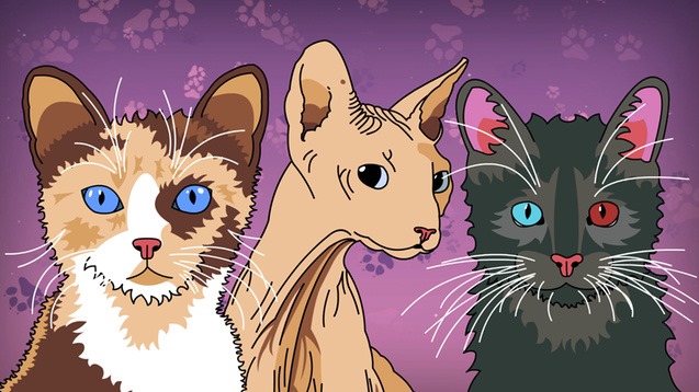 Cat Dating Sim Purrfect Date Is Now On Steam Greenlight - Siliconera